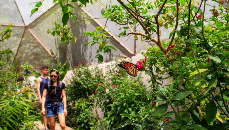Reserva Natural Atitlán, un destino para divertirse con familia en ...