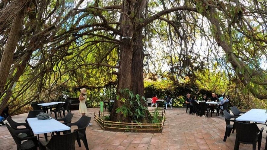 El Trapiche de Don Tonito, un restaurante con mesas al aire libre en ...