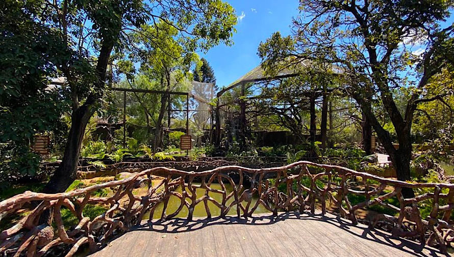 Zoológico La Aurora inaugura Mundo Escondido de Terra América en marzo ...