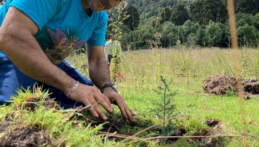 Plantemos inauguró proyecto Bosque Bicentenario plantando 20,000 árboles