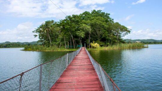 Parque Ecológico Senderos De Alux Un Lugar Natural En San Lucas